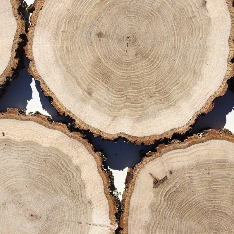 Wood Tree Slice - Etsy