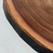 1 Large Solid Elm Wood Slice 13 Inch Elm Slices Elm Elm Circles Wooden ...