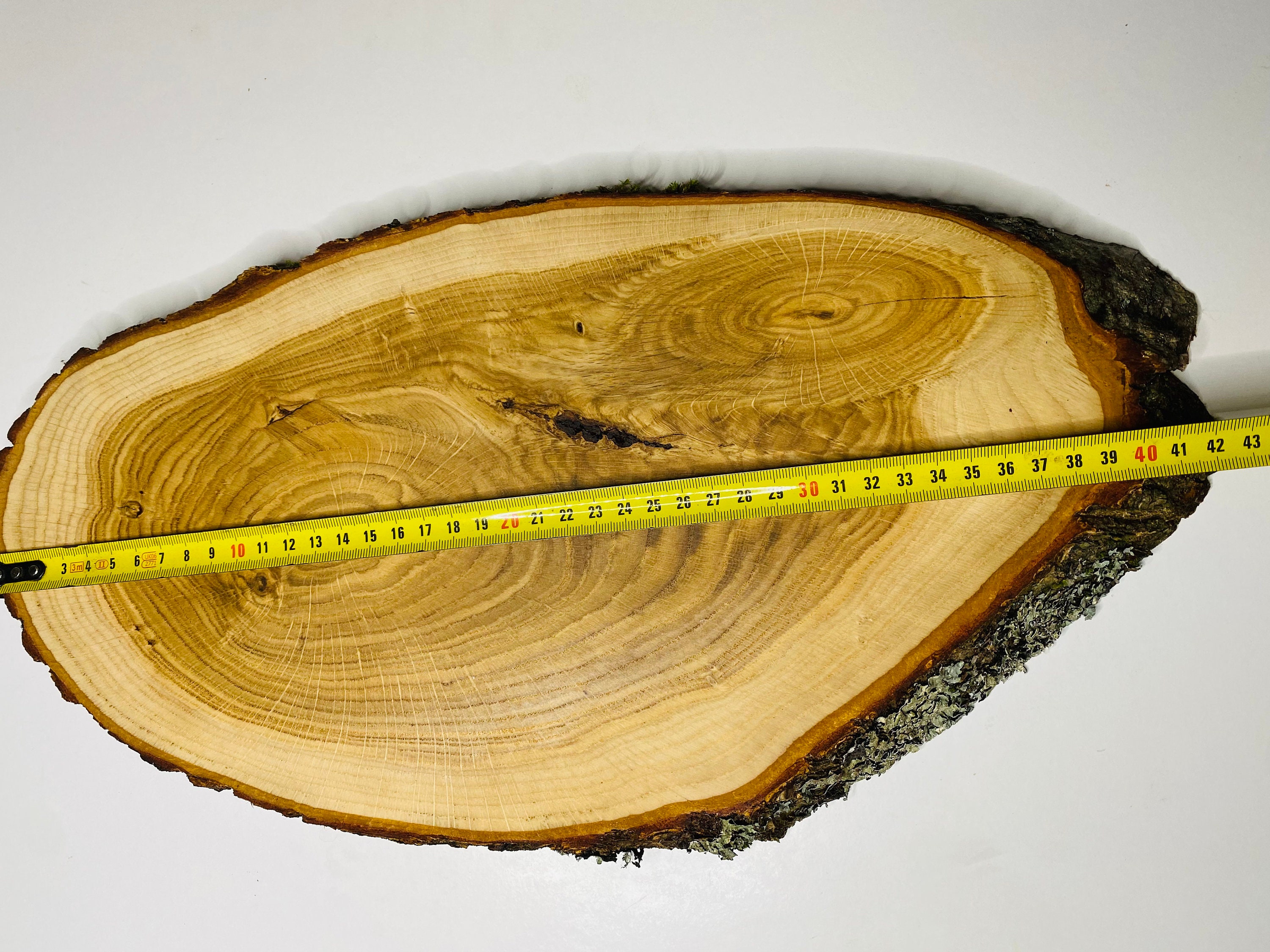 1 Large Solid Oak Wood Slice 16 Inch Oak Slices Oak Oak - Etsy