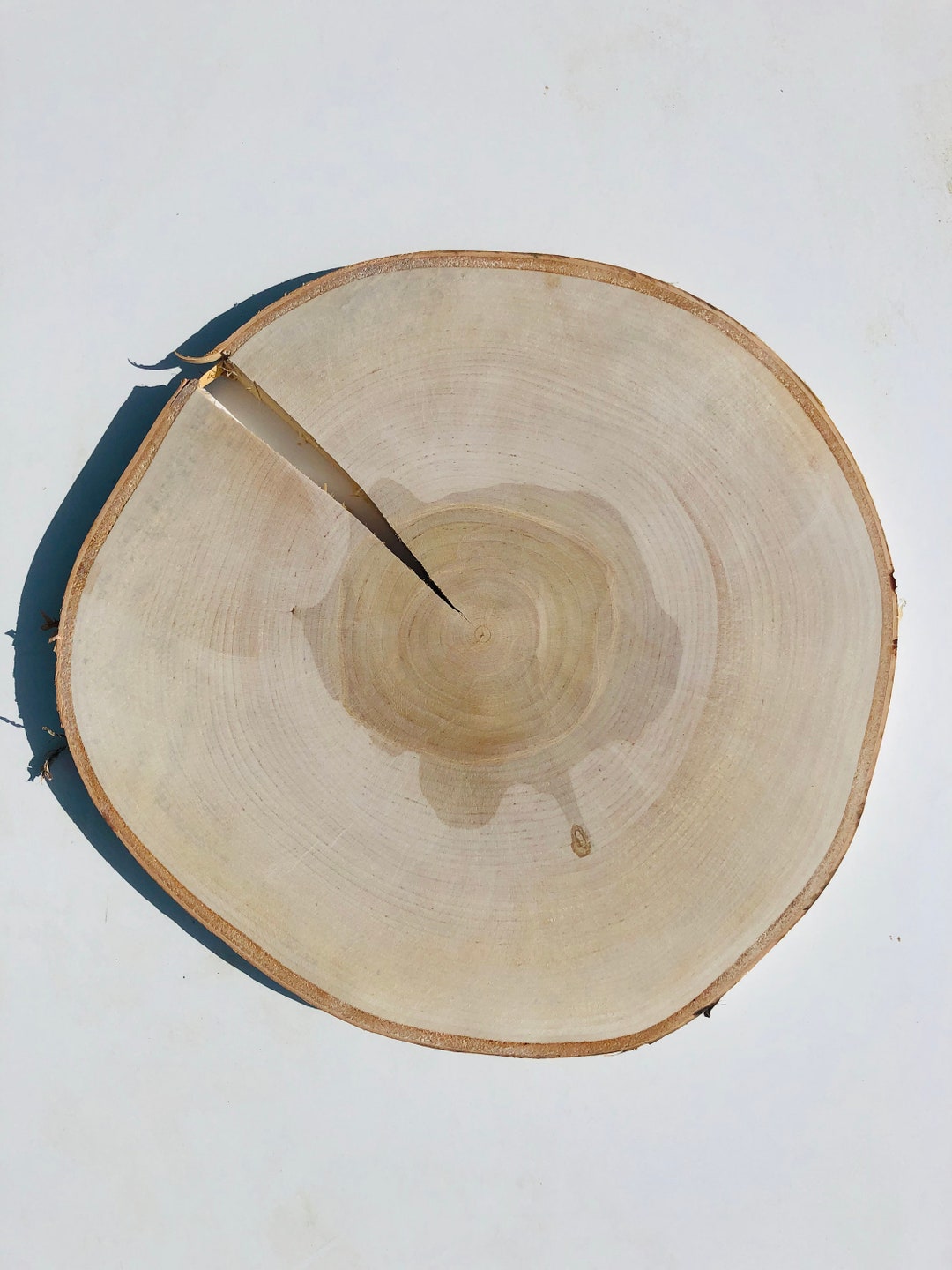 Large Birch Slices | Birch Tree | Wood Serving Board | Wedding Cake ...
