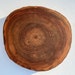 1 Solid Elm Wood Slice 10 Inch in Diameter Elm Slices Elm Elm - Etsy