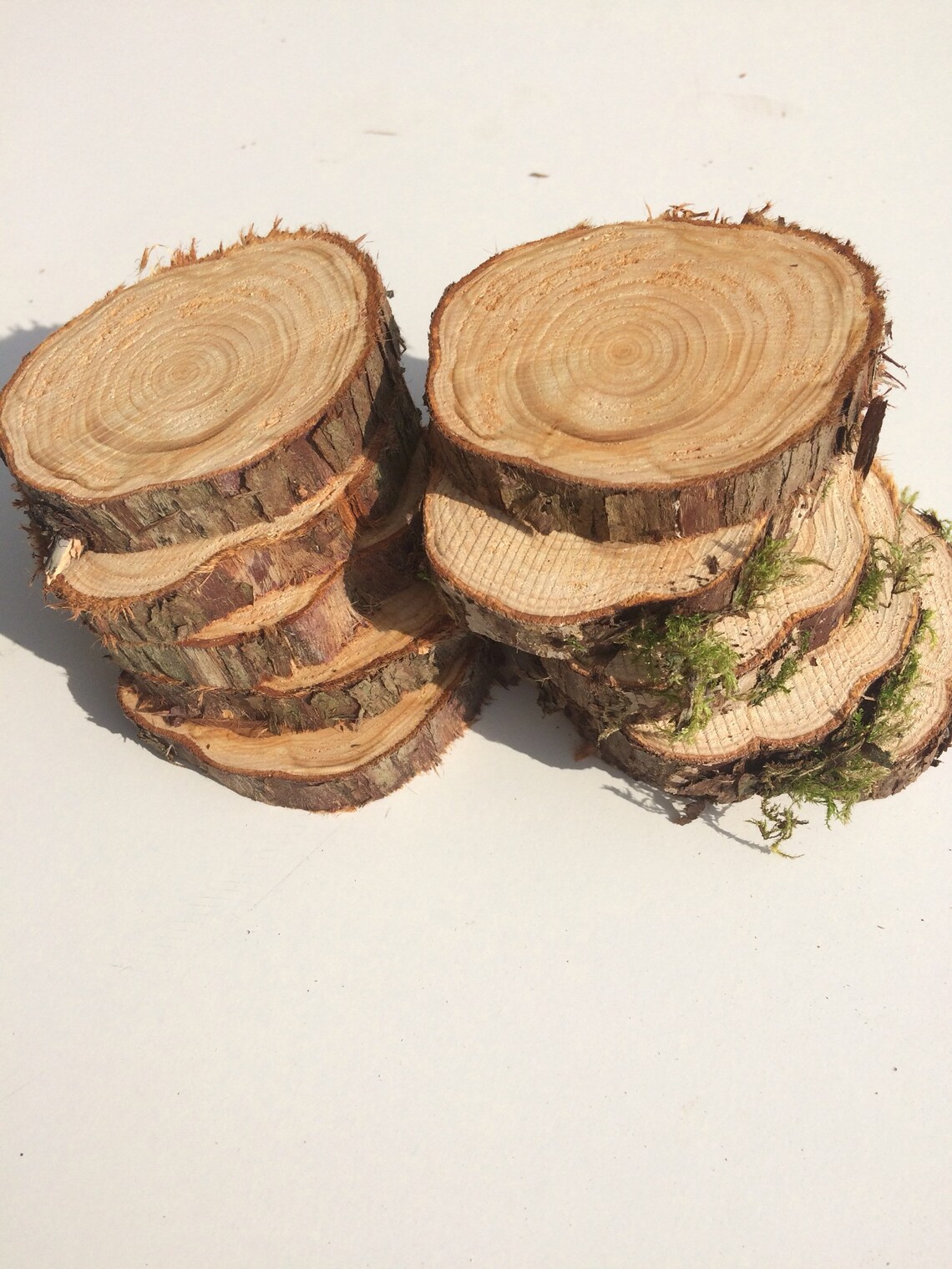 Juniper Tree Discs Wooden Slices Rustic Wood Slices for - Etsy