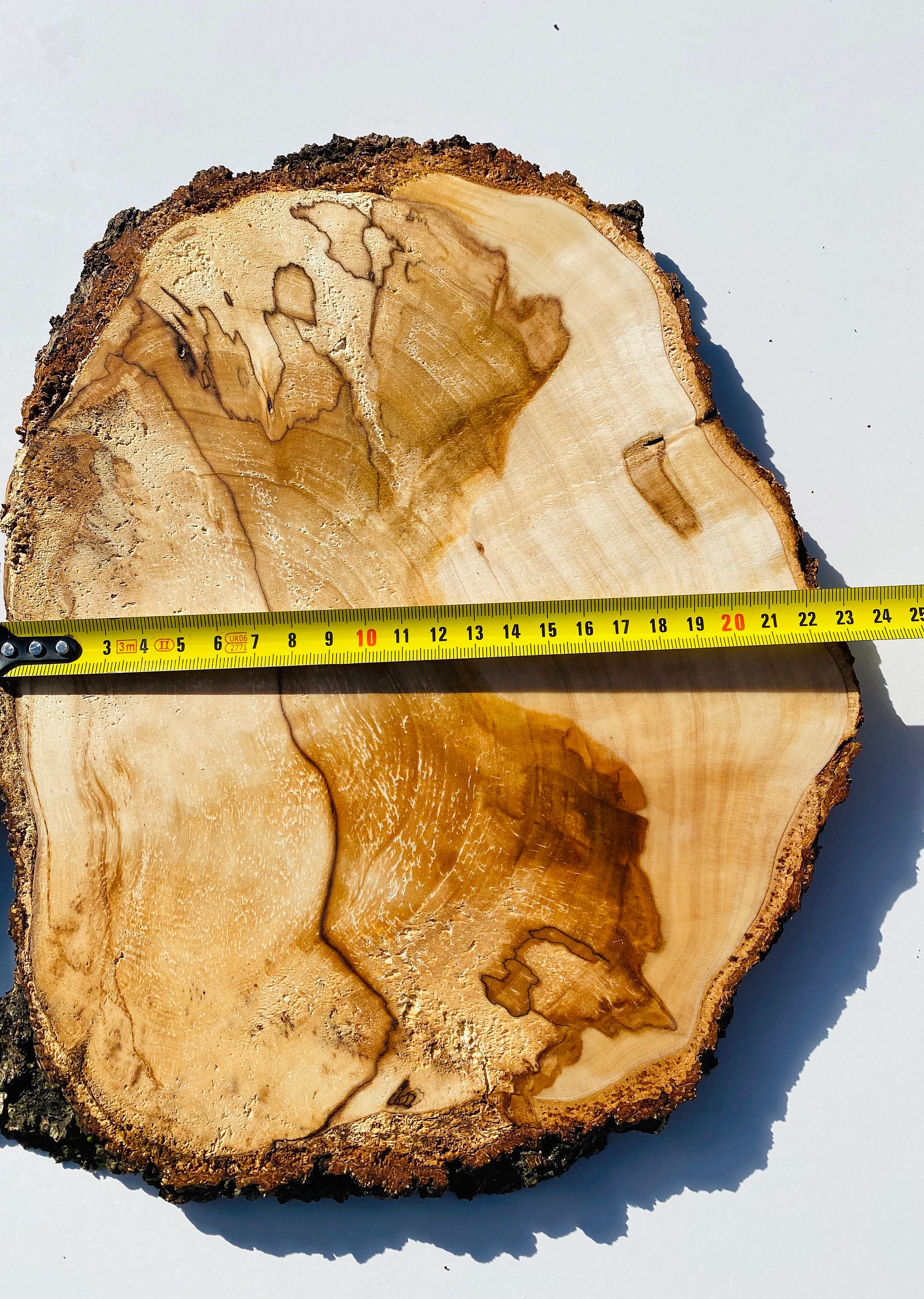 UNIQUE 3 PCS 12'' Large BIRCH Slices Wooden Slices - Etsy