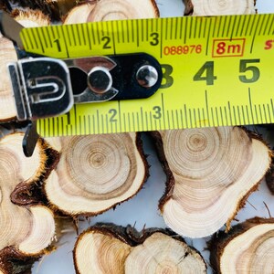 50 Small Juniper Tree Slices | Small Wooden Slices | Rustic Wood Slices ...