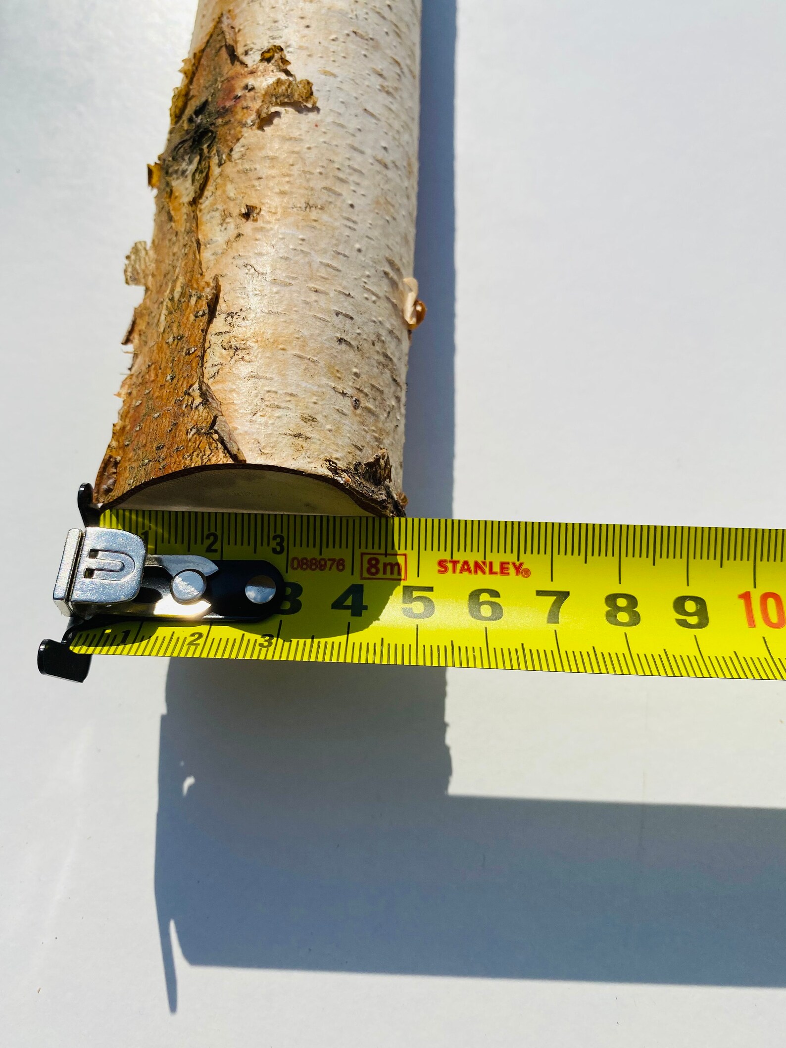 DIY Birch Walking Stick Birch Sticks Rowan Branches Birch - Etsy