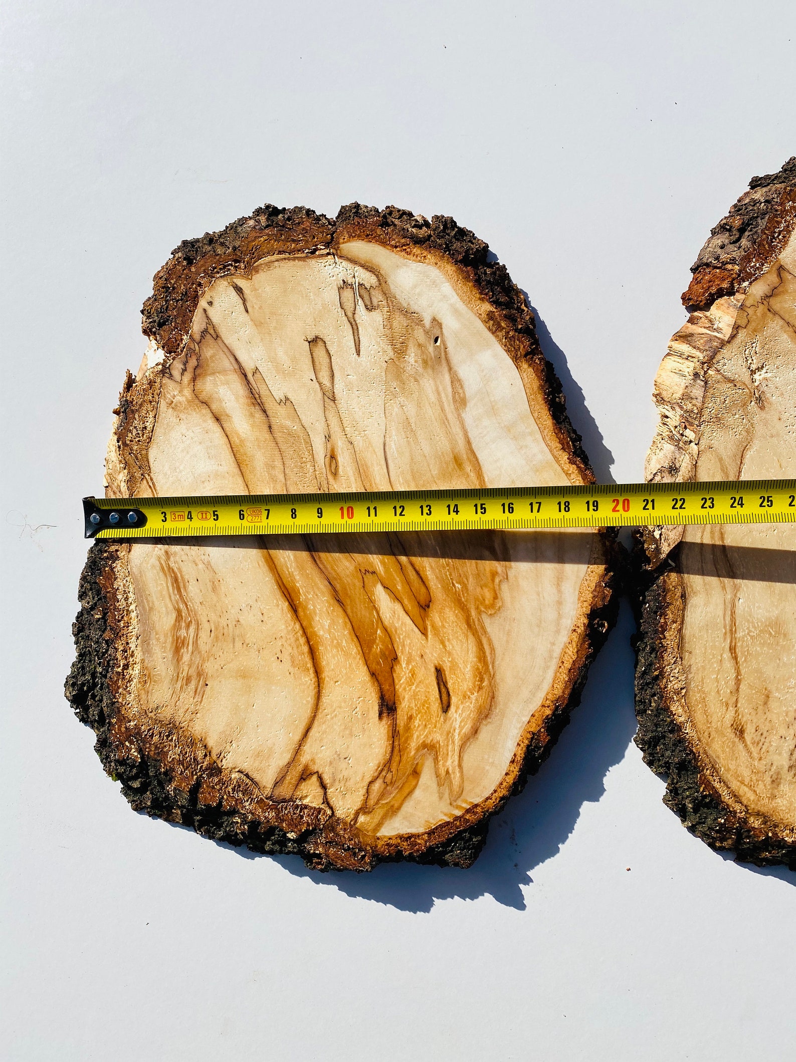 UNIQUE 3 PCS 12'' Large BIRCH Slices Wooden Slices - Etsy