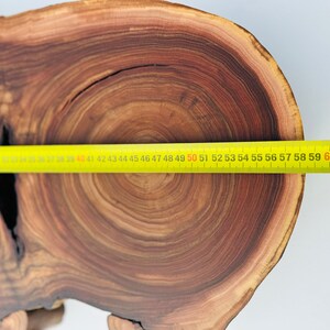 1 Extra Large Solid Elm Wood Slice 22 Inch Elm Slices Elm Elm Circles ...