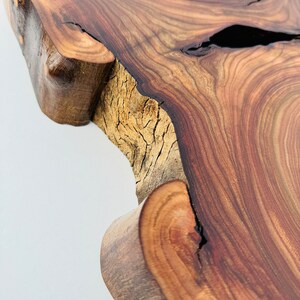 1 Extra Large Solid Elm Wood Slice 22 Inch Elm Slices Elm Elm Circles ...