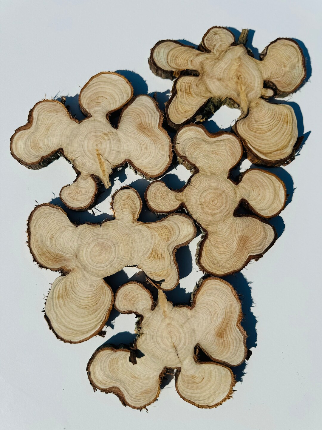 Juniper Wood Slices Juniper Wood Juniper Pieces Wooden Slices Wood ...