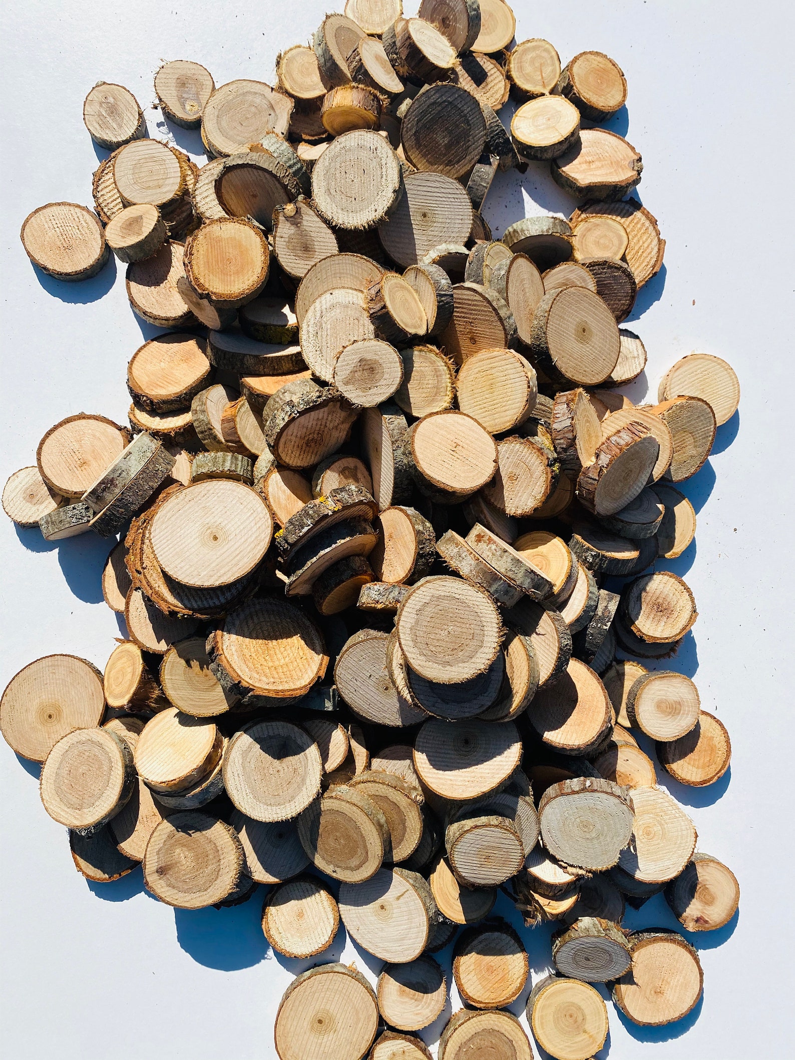 40 Small 1'' - 2" Wood Slices Small Wooden Slices Rustic Wood Slices ...