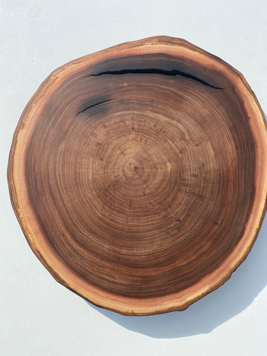 1 Large Solid Elm Wood Slice 13 Inch Elm Slices Elm Elm Circles Wooden ...