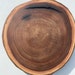 1 Large Solid Elm Wood Slice 13 Inch Elm Slices Elm Elm Circles Wooden ...