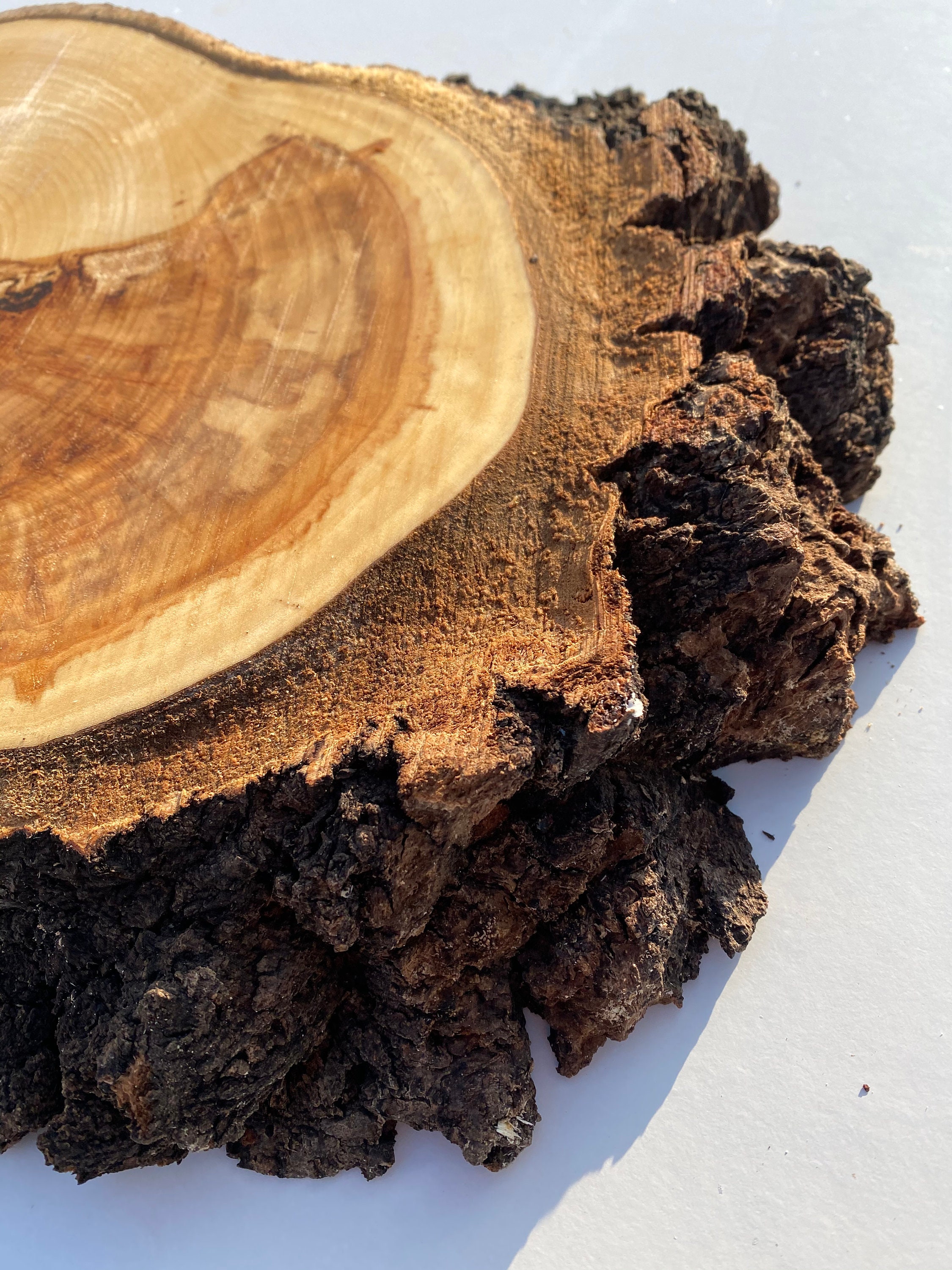 Irregular 14'' Aspen Wood Slices | Wooden Slices Aspen Slices | Wood ...