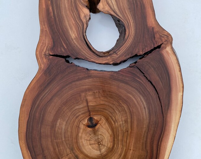 1 Extra Large Solid Elm Wood Slice 21 Inch Elm Slices Elm Elm Circles ...