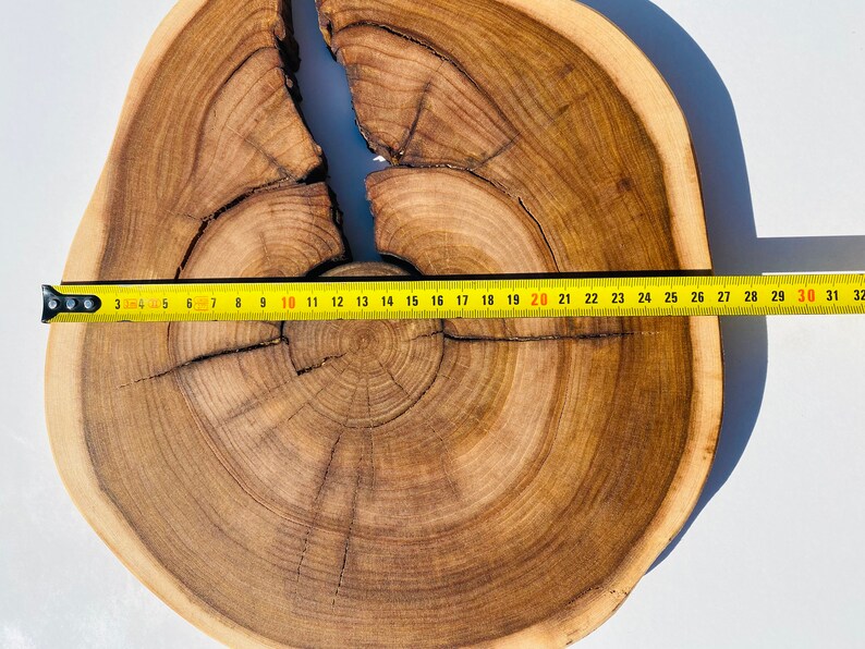 1 Large Solid Oak Wood Slice 17 Inch Oak Slices Oak Oak - Etsy