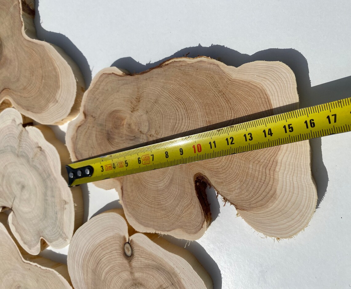 10 Medium Juniper Tree Slices Small Wooden Slices Rustic - Etsy