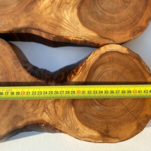 2 Large Solid Elm Wood Slice 18 Inch Elm Slices Elm Elm Circles Wooden ...