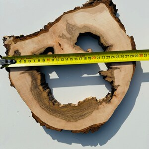 Aspen Wood Slice Heart Wood Slice Wood Slices Wood Slab Slice Heart ...