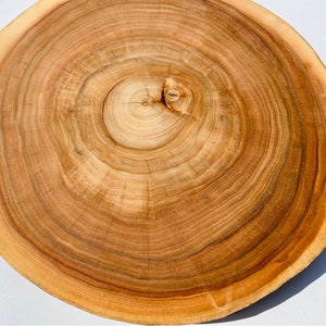 1 Large Solid Elm Wood Slice 13 Inch Elm Slices Elm Elm Circles Wooden ...
