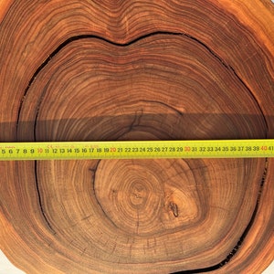 1 Extra Large Solid Elm Wood Slice 19 Inch Elm Slices Elm Elm Circles ...