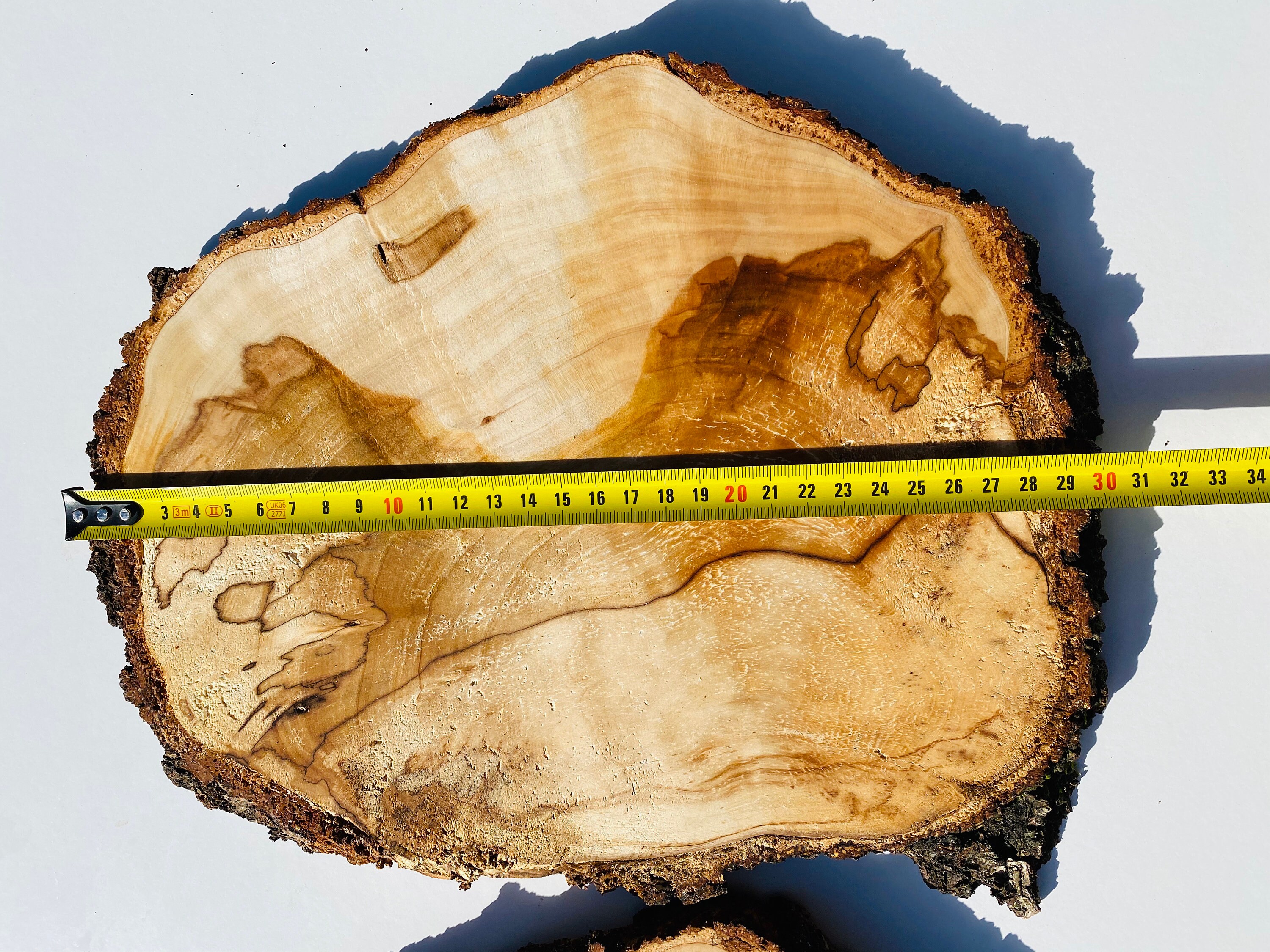 UNIQUE 3 PCS 12'' Large BIRCH Slices Wooden Slices - Etsy