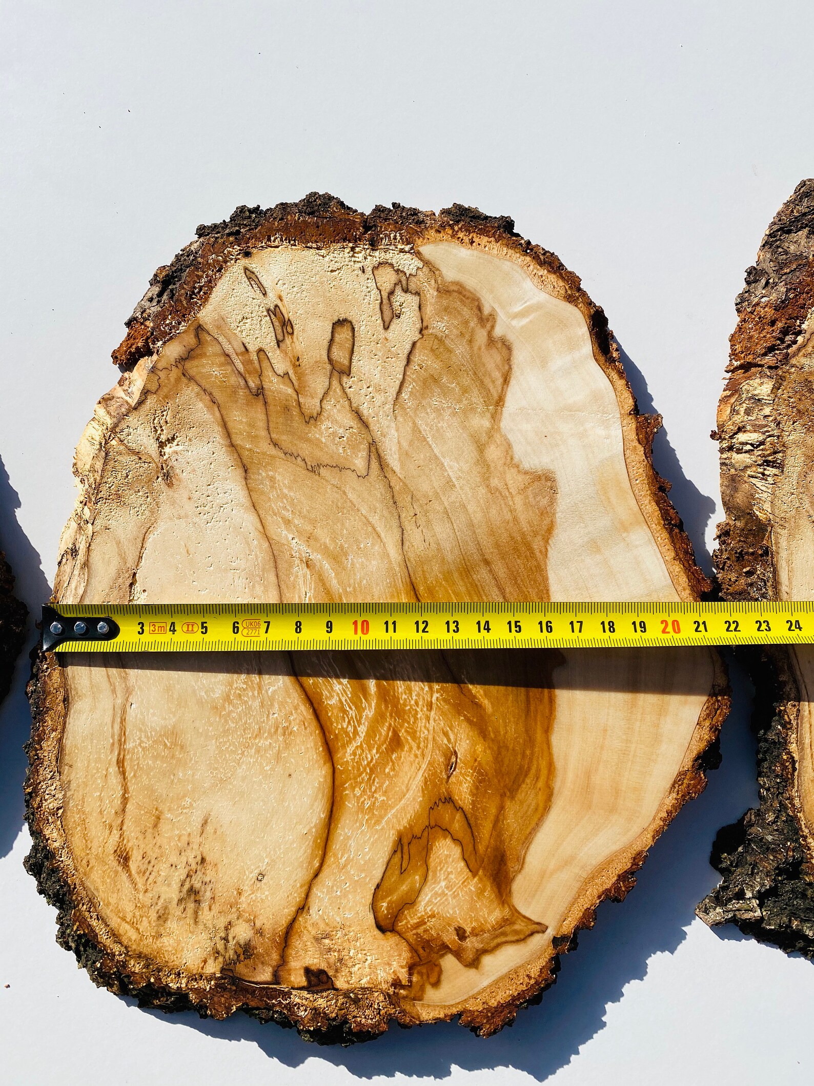 UNIQUE 3 PCS 12'' Large BIRCH Slices Wooden Slices - Etsy