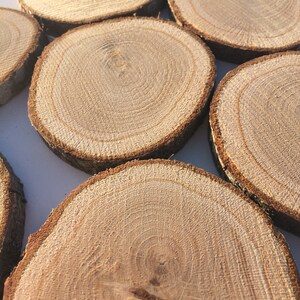10pcs 2''-3'' Oak Slices | Oak Discs | Oak Circles | Crafts | Wooden ...