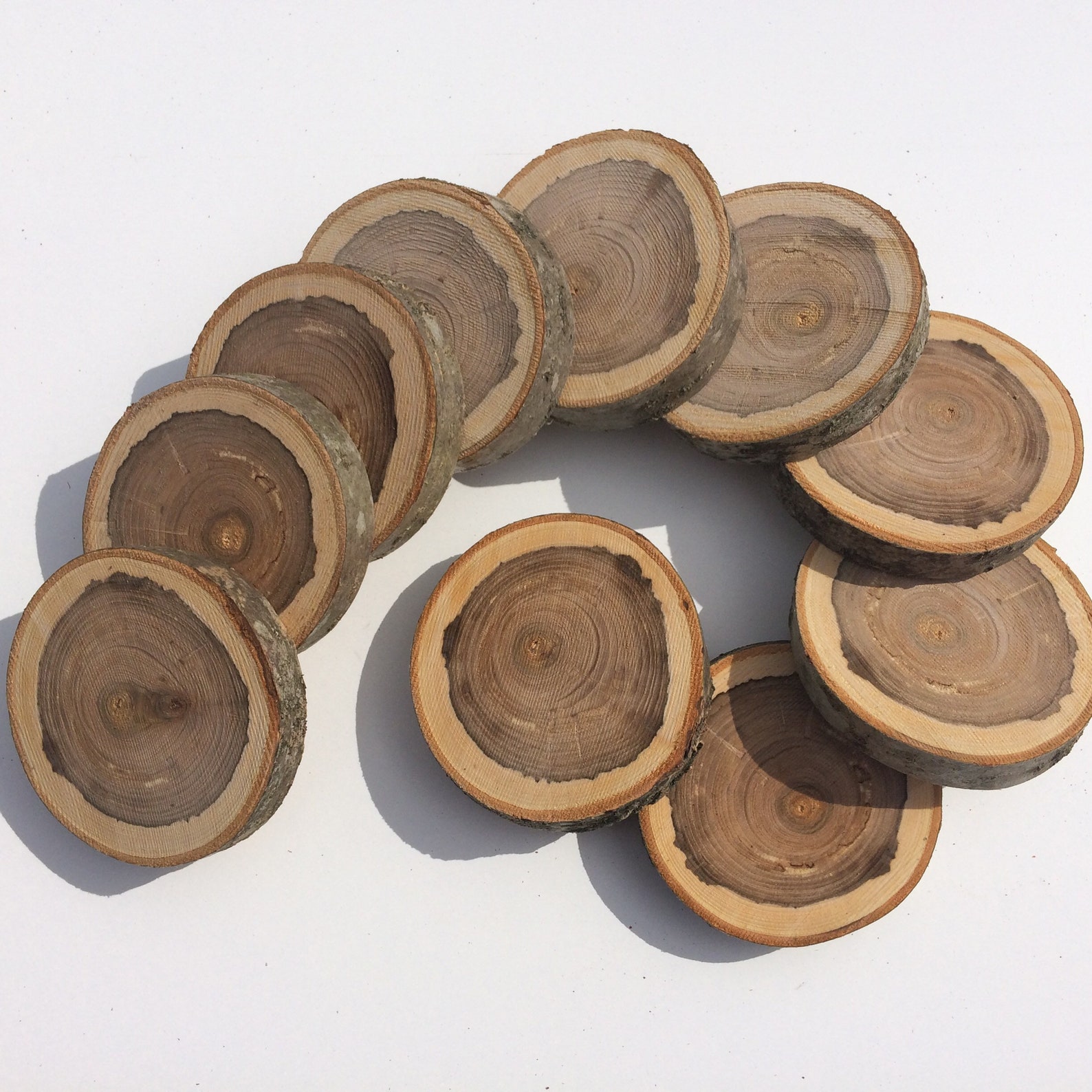 10 PCS European Ash Tree Wooden Slices Rustic Wood - Etsy