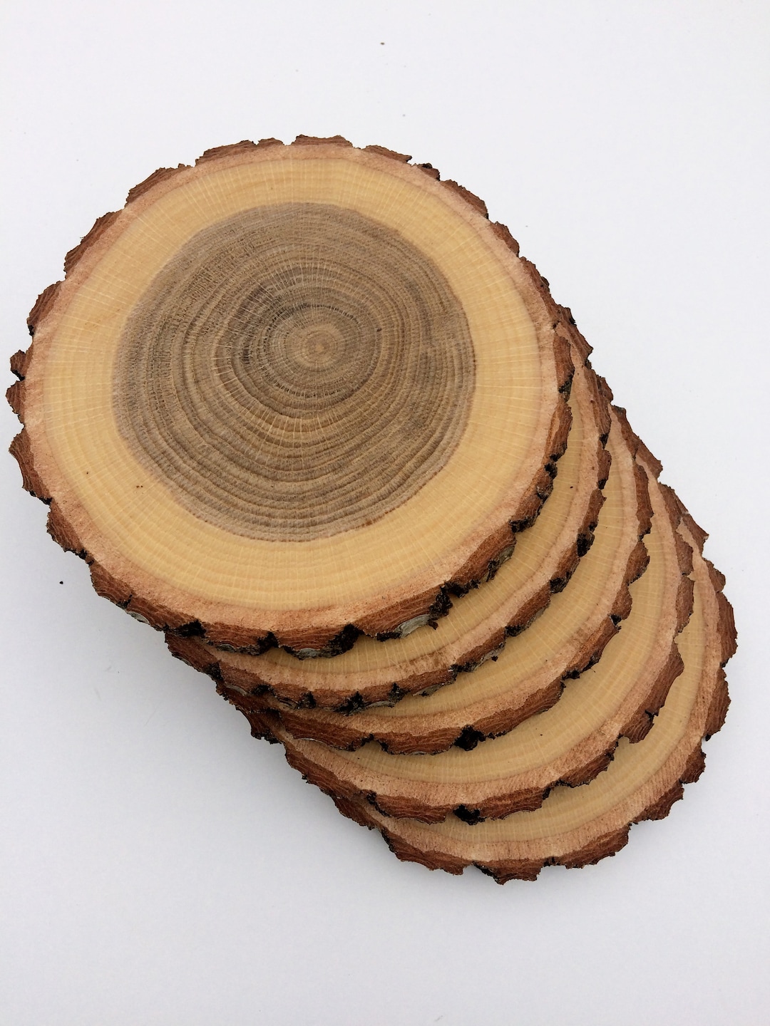 5PCS Oak Slices | Oak Rings | Oak Circles | Crafts | Wooden Rings ...