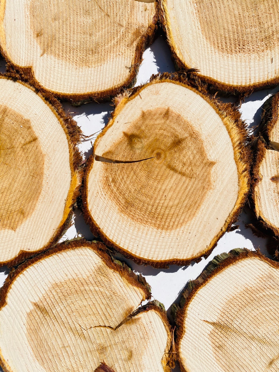 26 Large Juniper Tree Slices | Large Wooden Slices | Rustic Wood Slices ...