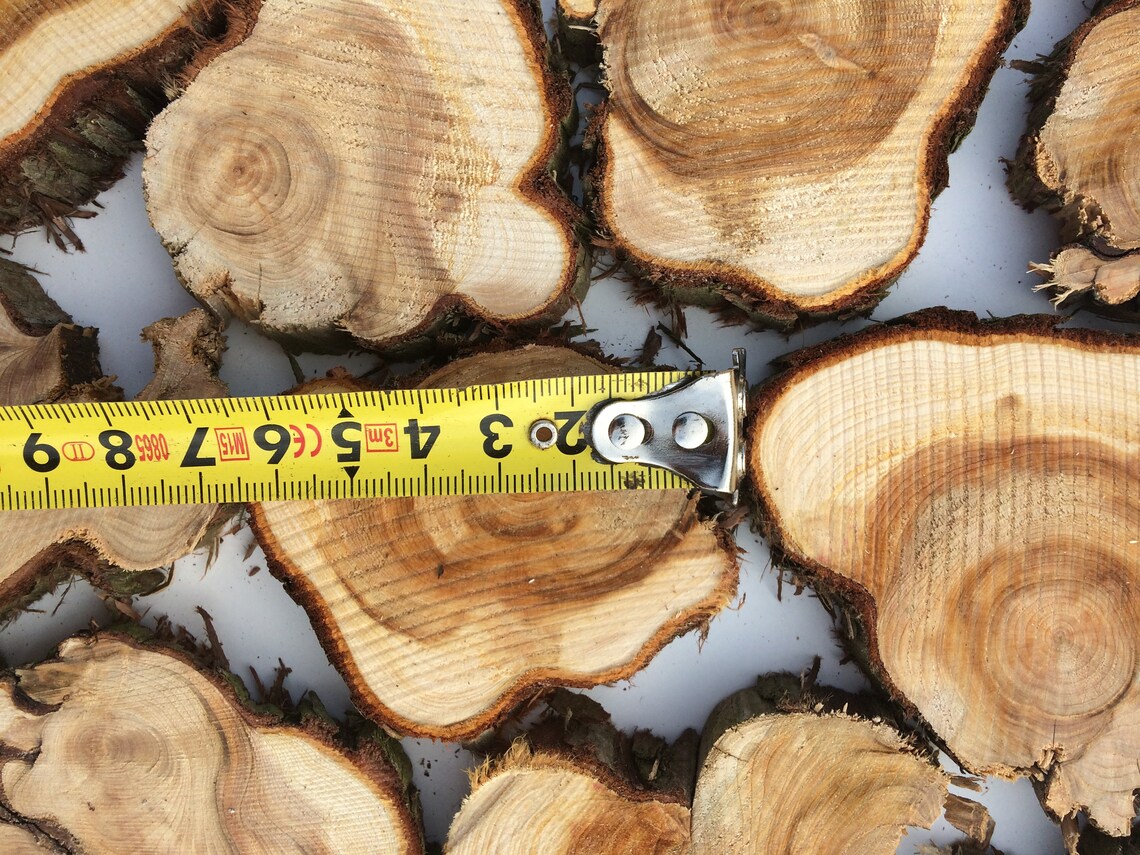 20 Small Juniper Tree Slices Small Wooden Slices Rustic - Etsy Canada