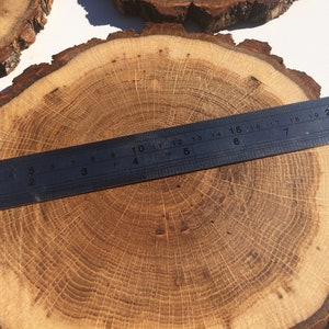 8 Inch 3PCS Oak Slices | Oak Discs | Oak Circles | Home Decorations ...