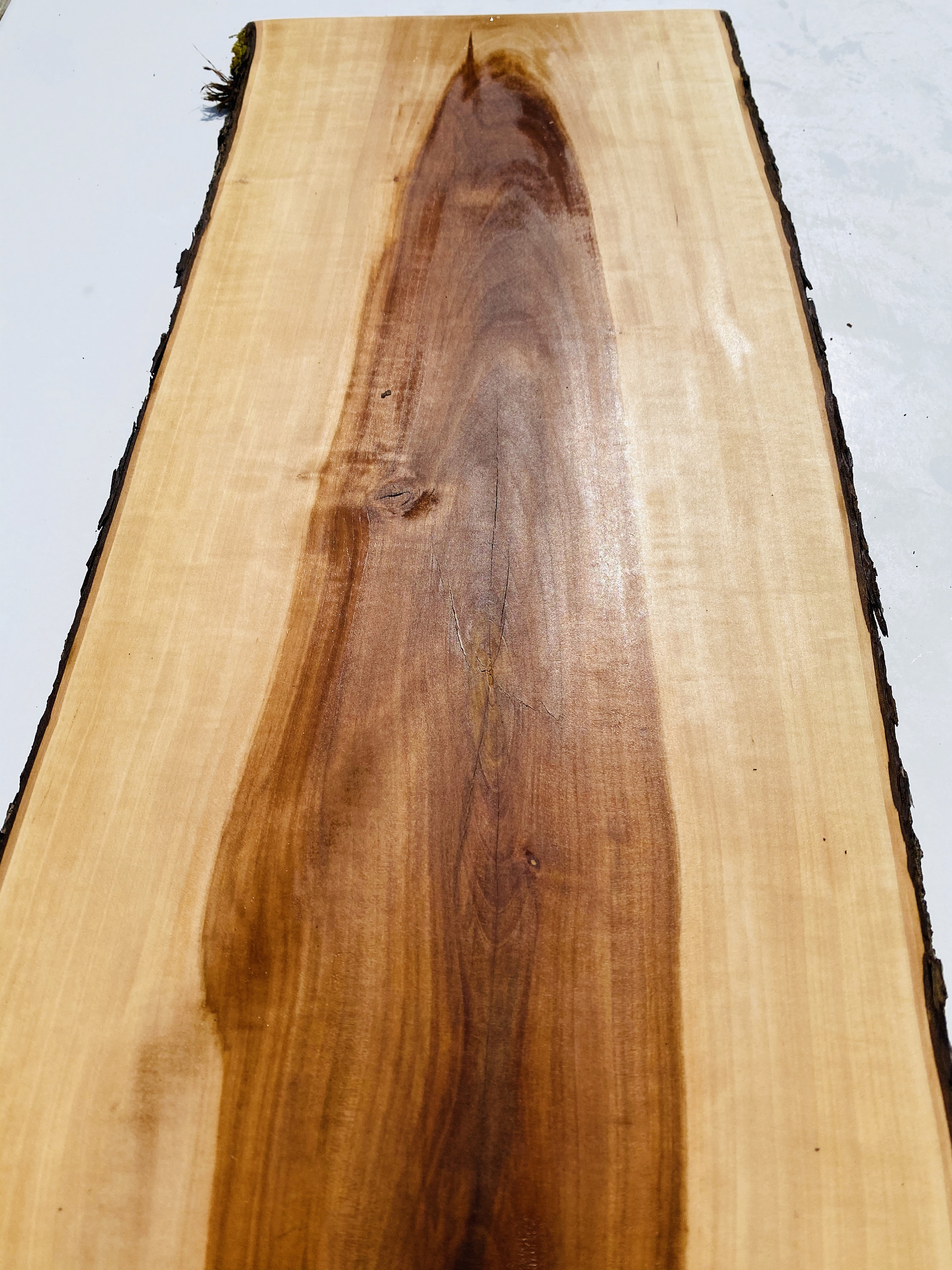 28 Apple Wood Plank Apple Tree Large Slice Wedding - Etsy UK