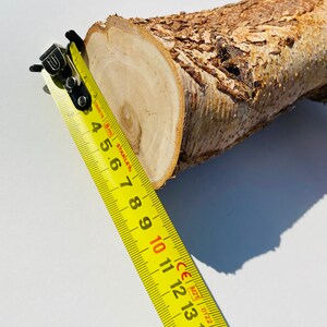 DIY Birch Walking Stick Birch Sticks Rowan Branches Birch - Etsy