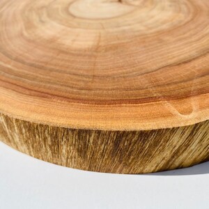 1 Large Solid Elm Wood Slice 13 Inch Elm Slices Elm Elm Circles Wooden ...