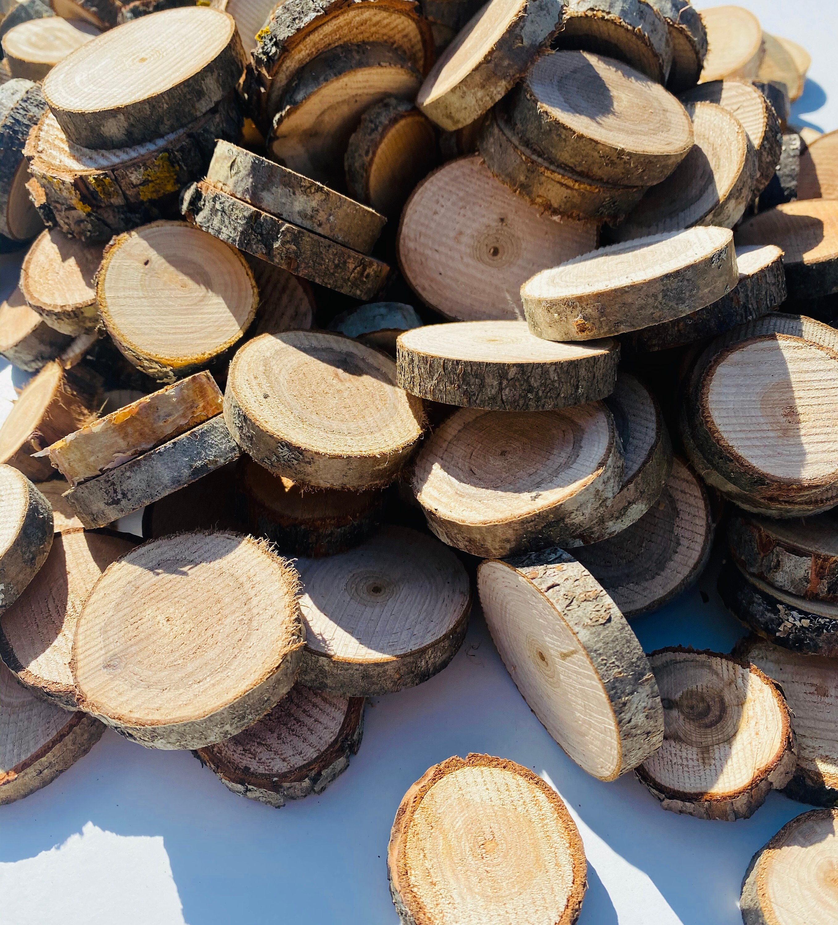 40 Small 1'' 2 Wood Slices Small Wooden Slices - Etsy