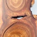 1 Extra Large Solid Elm Wood Slice 22 Inch Elm Slices Elm Elm Circles ...