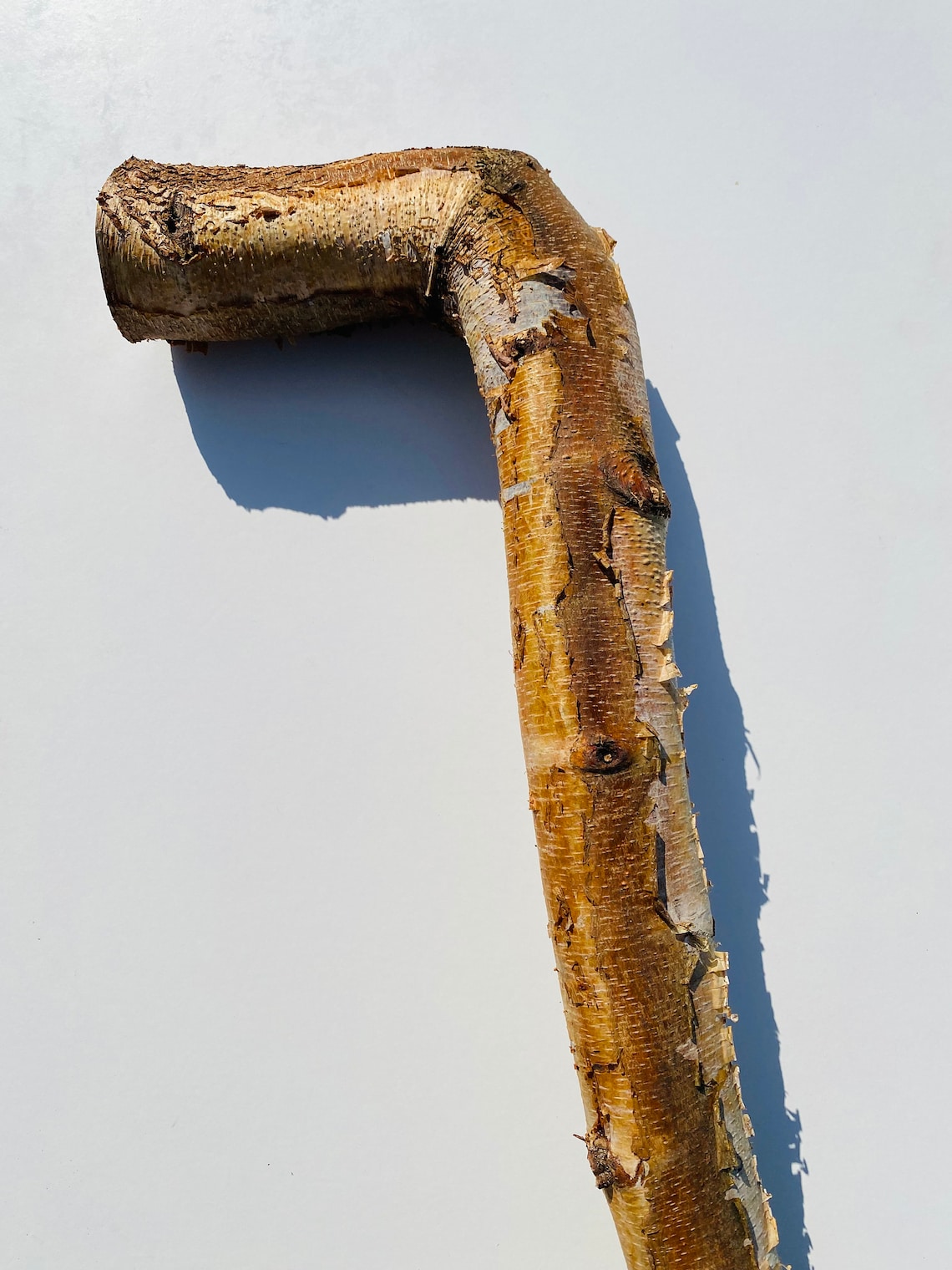 DIY Birch Walking Stick Birch Sticks Rowan Branches Birch - Etsy