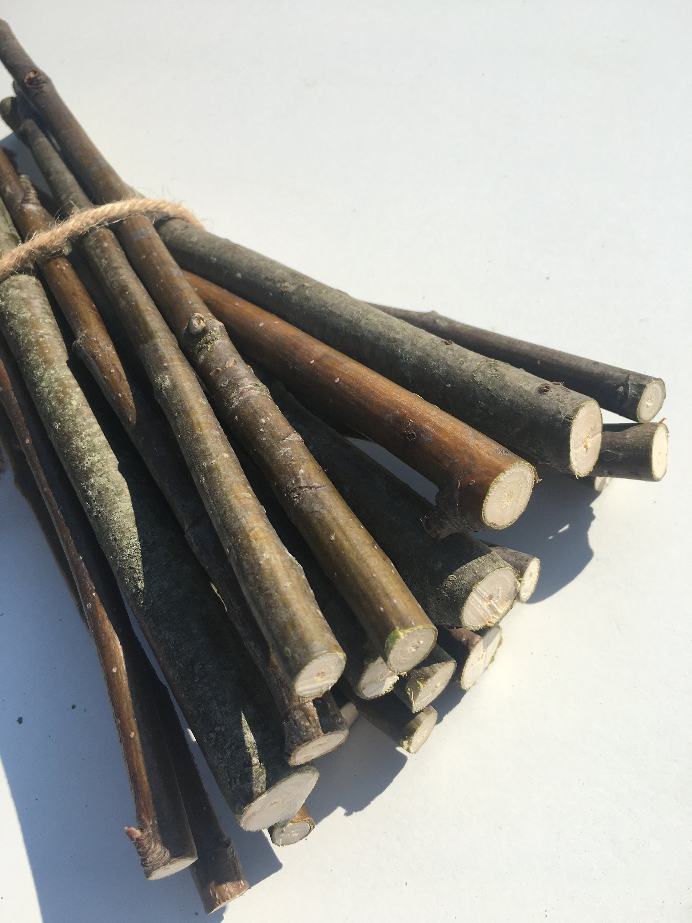 20 PCS Medium Thick Rowan Sticks Rowan Branches Rowan Sticks - Etsy