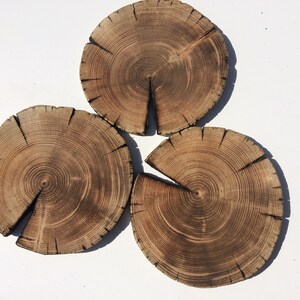 3 PCS Burnt Discs | Burnt Wood | Pine Discs | Burnt Tree | Fired Wooden ...