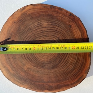 1 Solid Elm Wood Slice 10 Inch in Diameter Elm Slices Elm Elm Circles ...