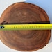 1 Solid Elm Wood Slice 10 Inch in Diameter Elm Slices Elm Elm - Etsy
