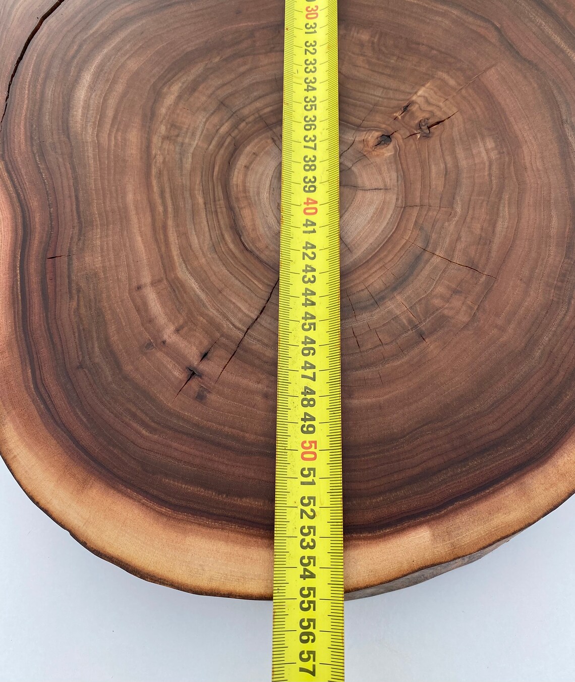 1 Extra Large Solid Elm Wood Slice 21 Inch Elm Slices Elm Elm - Etsy