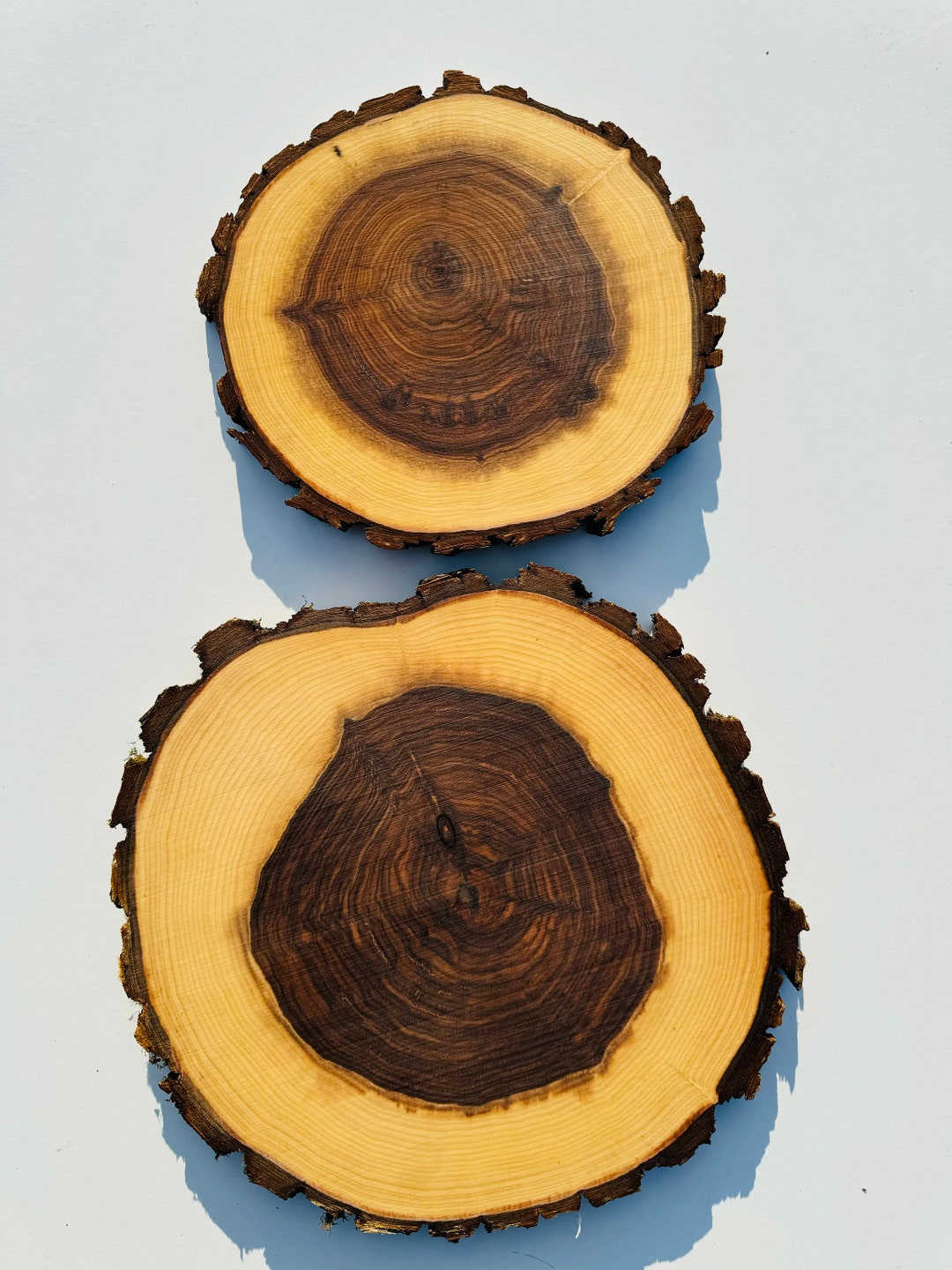 Willow Wood Slices Wooden Slices Large Wood Slice Wood Log Slices ...