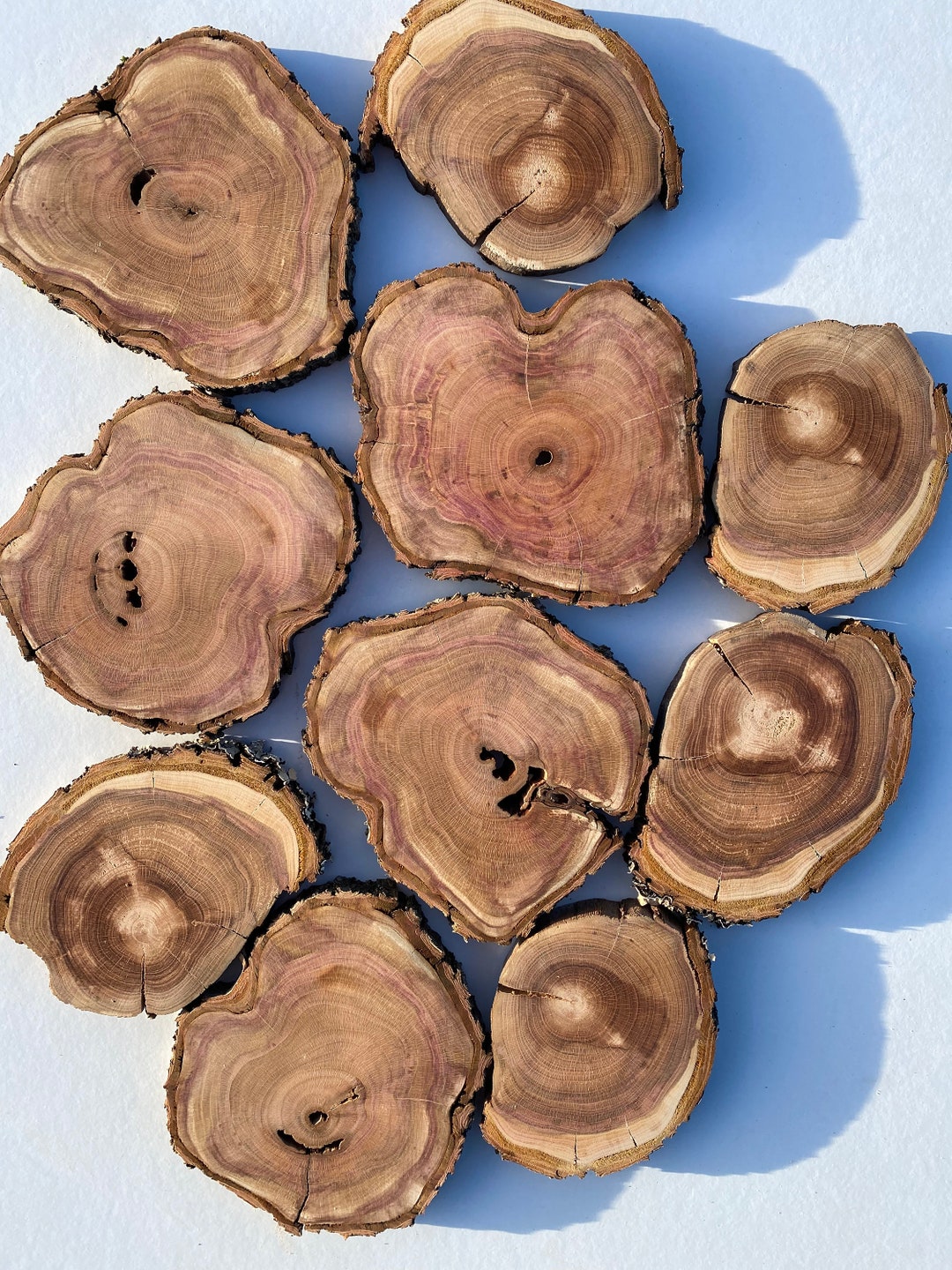 MIX of 10 Plum Wood Slices Wooden Circles Wooden Slices Wooden Rings ...