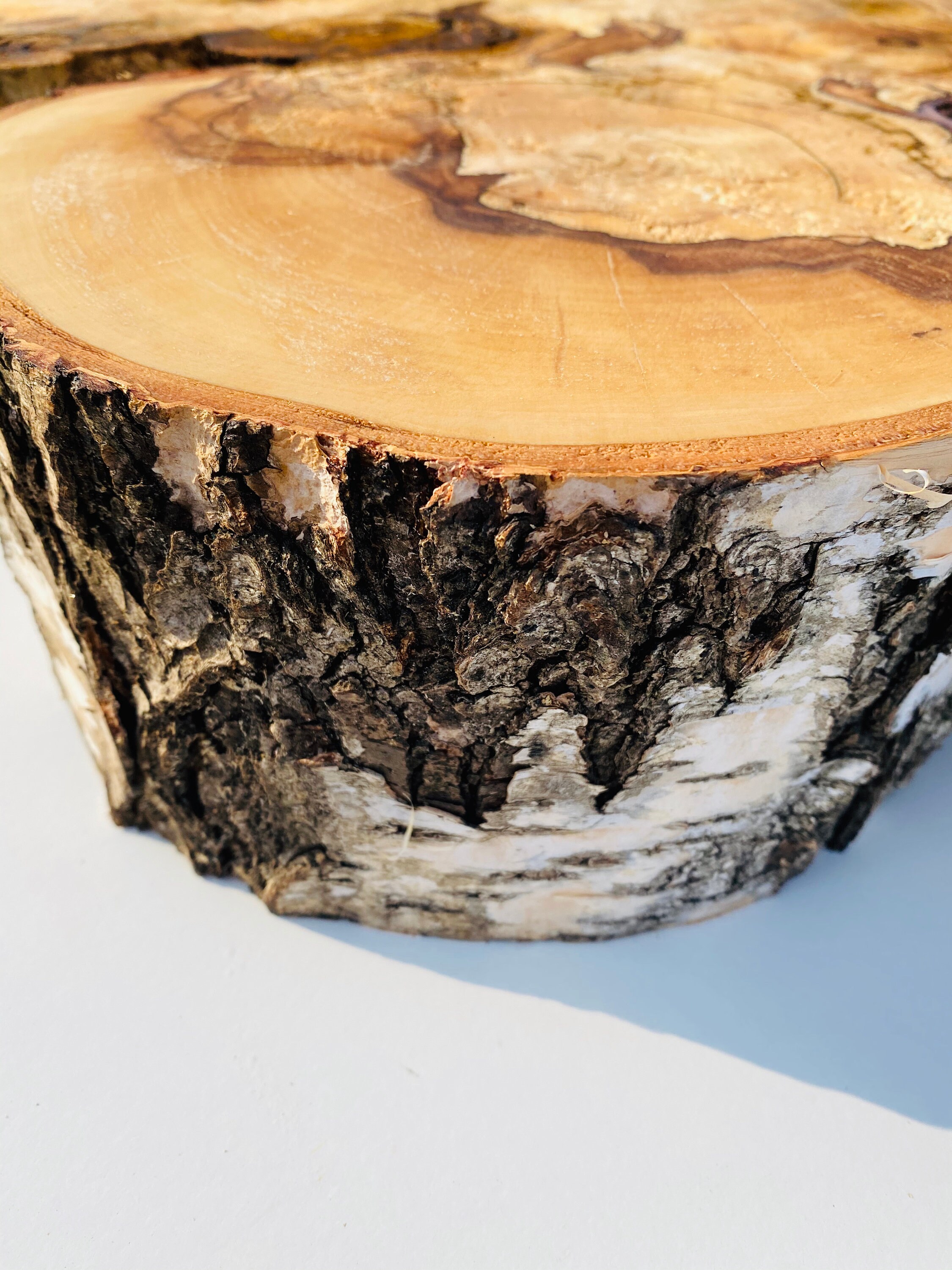 Unique 21 Large BIRCH Slice Cake Stand Large Slices - Etsy