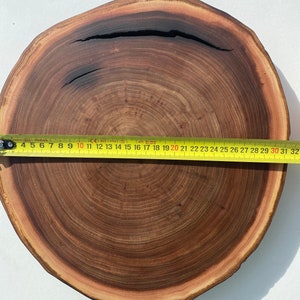 1 Large Solid Elm Wood Slice 13 Inch Elm Slices Elm Elm Circles Wooden ...