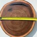 1 Large Solid Elm Wood Slice 13 Inch Elm Slices Elm Elm Circles Wooden ...