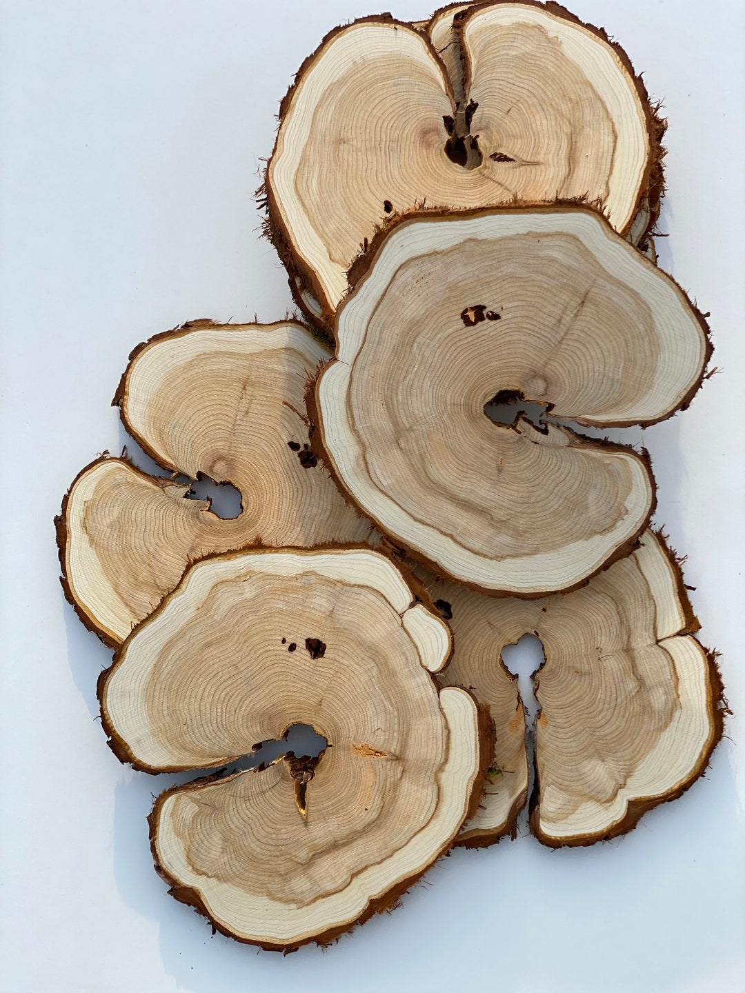 5 Pieces Wooden Circles Wood Slices Rustic Wood Pieces for DIY Ash ...