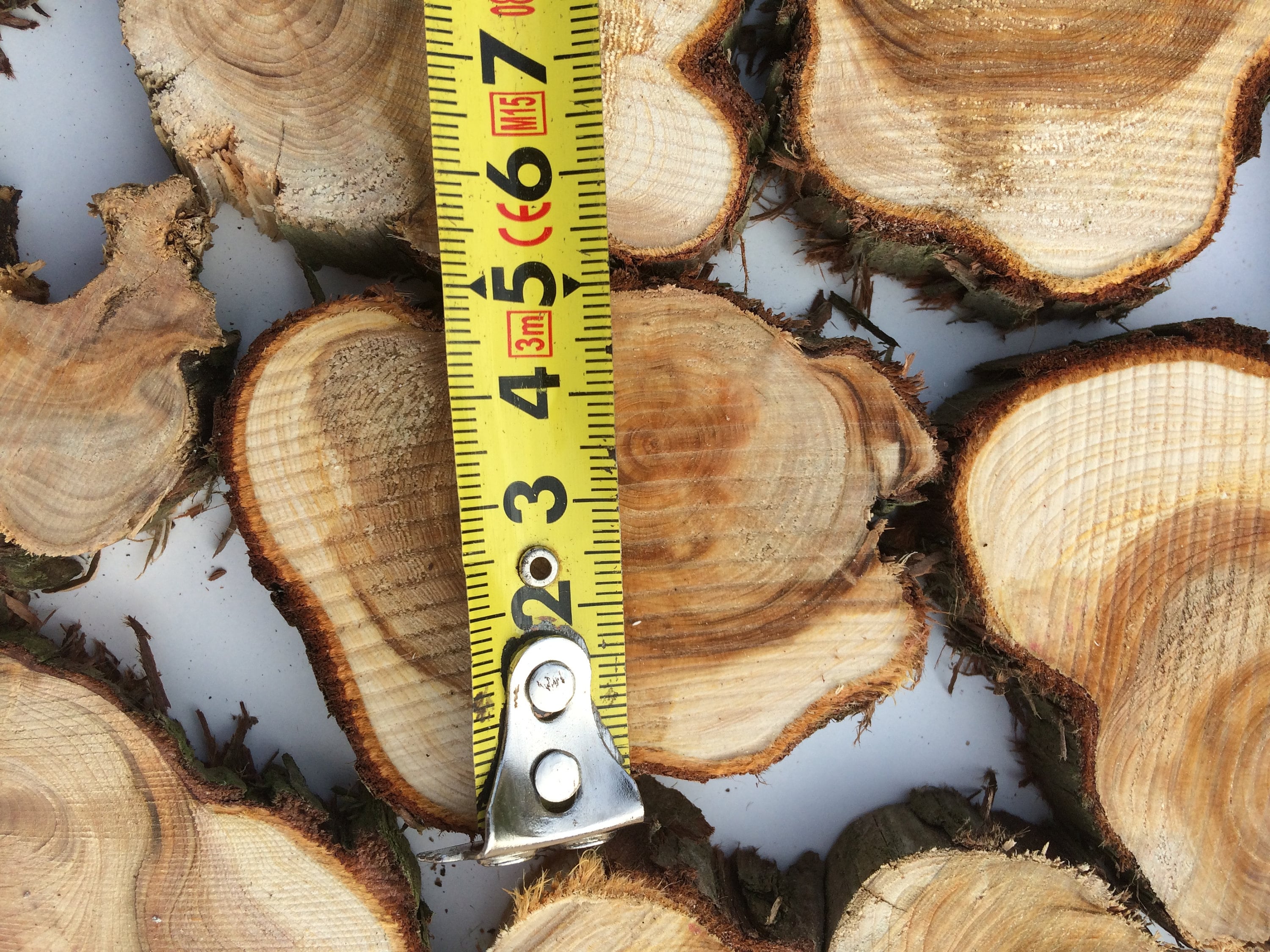 20 Small Juniper Tree Slices Small Wooden Slices Rustic - Etsy Canada